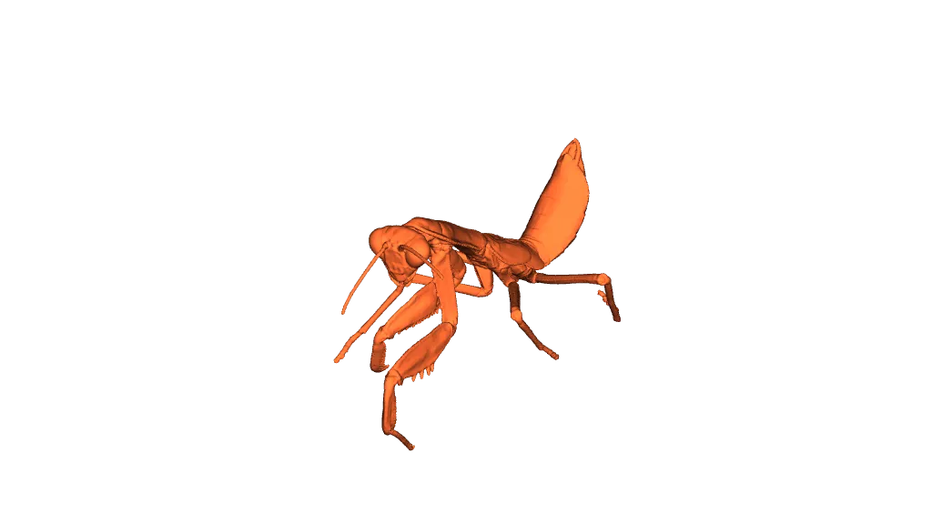 Praying Mantis by Peter Farell | Download free STL model | Printables.com