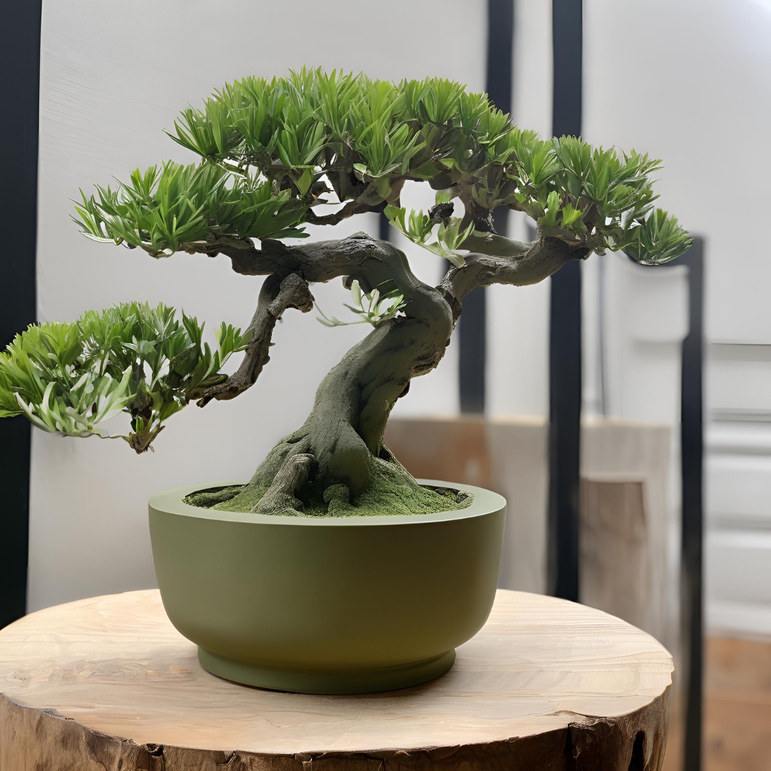 Round minimalist bonsai pot by Deltaprints | Printables Store