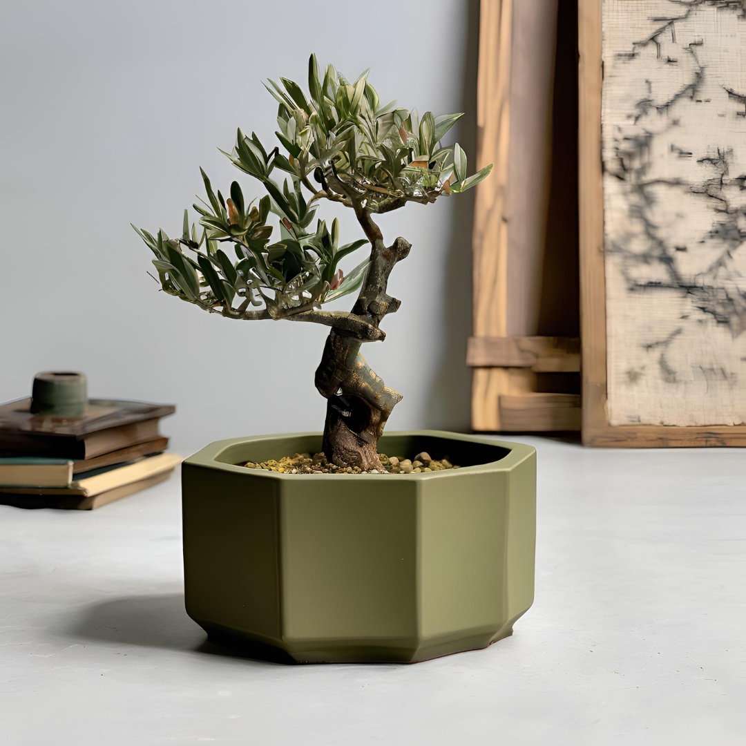 Octagonal Bonsai Pot by Deltaprints | Printables Store
