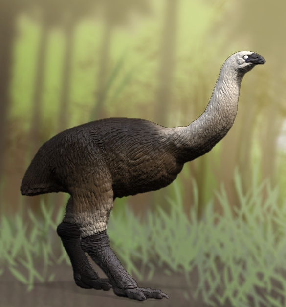 Moa Figurine by DragonArtist15 | Download free STL model | Printables.com