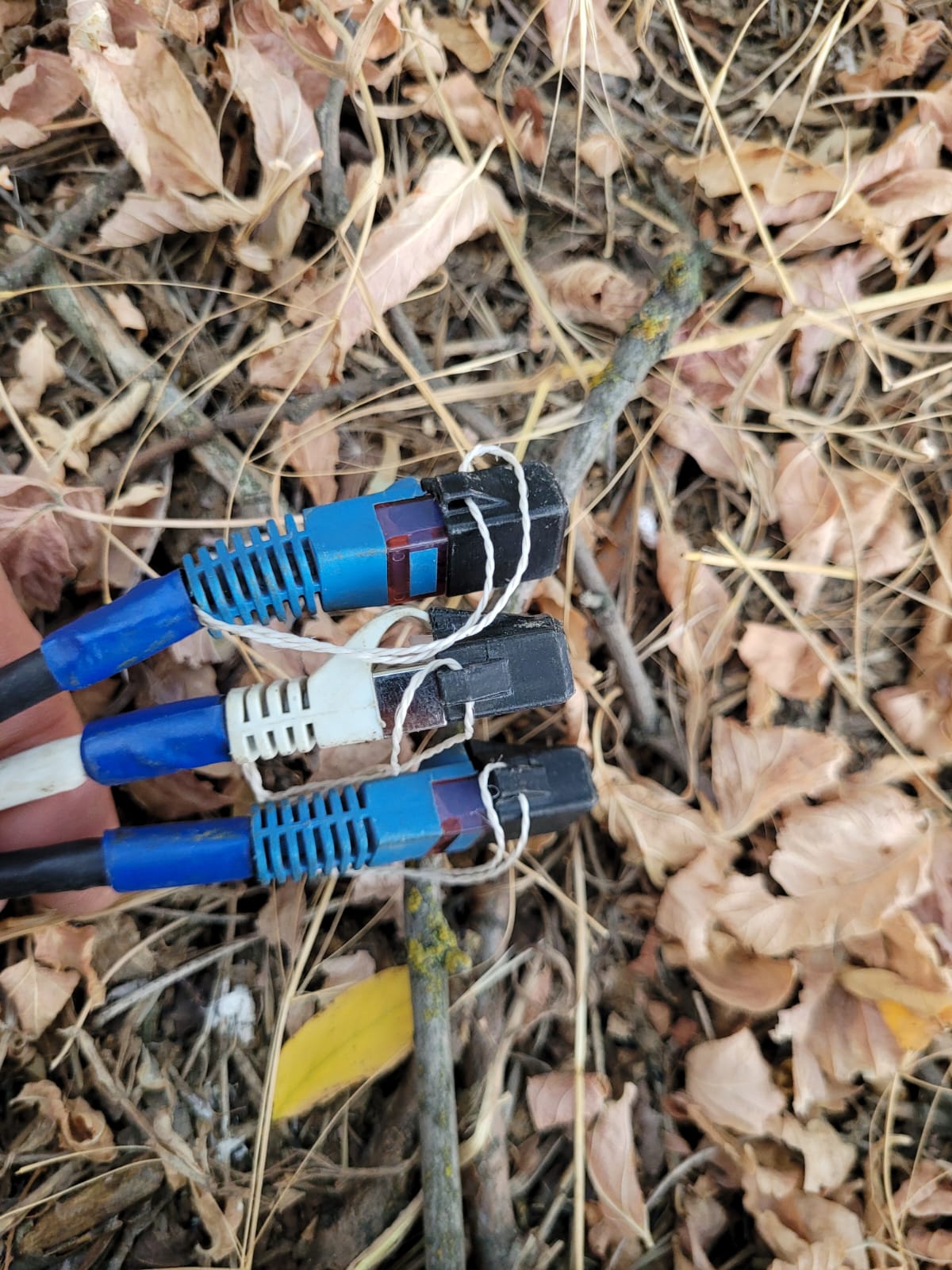 RJ45 connector clip guard by witem | Download free STL model ...