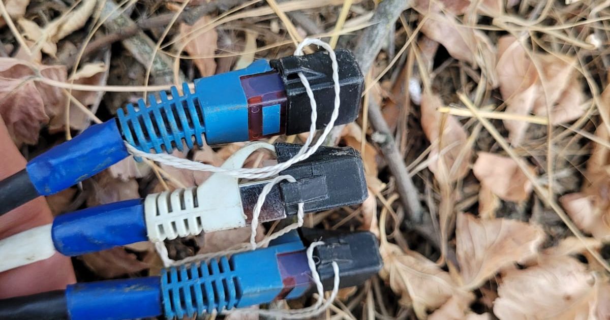 RJ45 connector clip guard by witem | Download free STL model ...