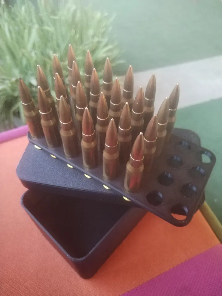 .308 ammo box by LexFran | Download free STL model | Printables.com