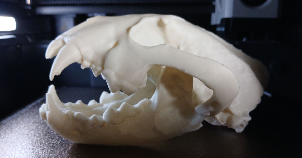 Wolverine Skull by ForgedFilament | Download free STL model ...