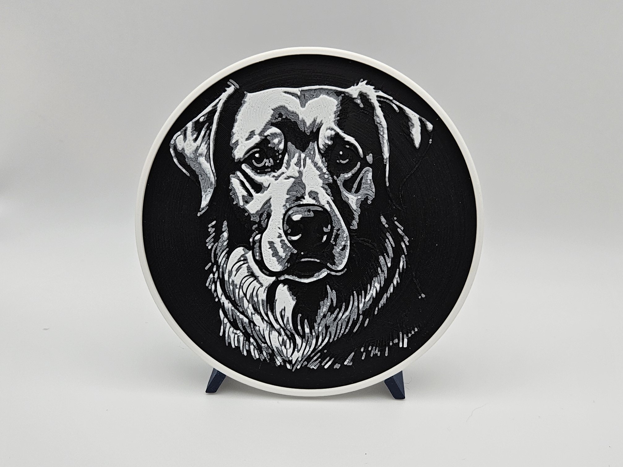 Golden Retriever Coaster Set - Hueforge by nidO | Download free STL ...