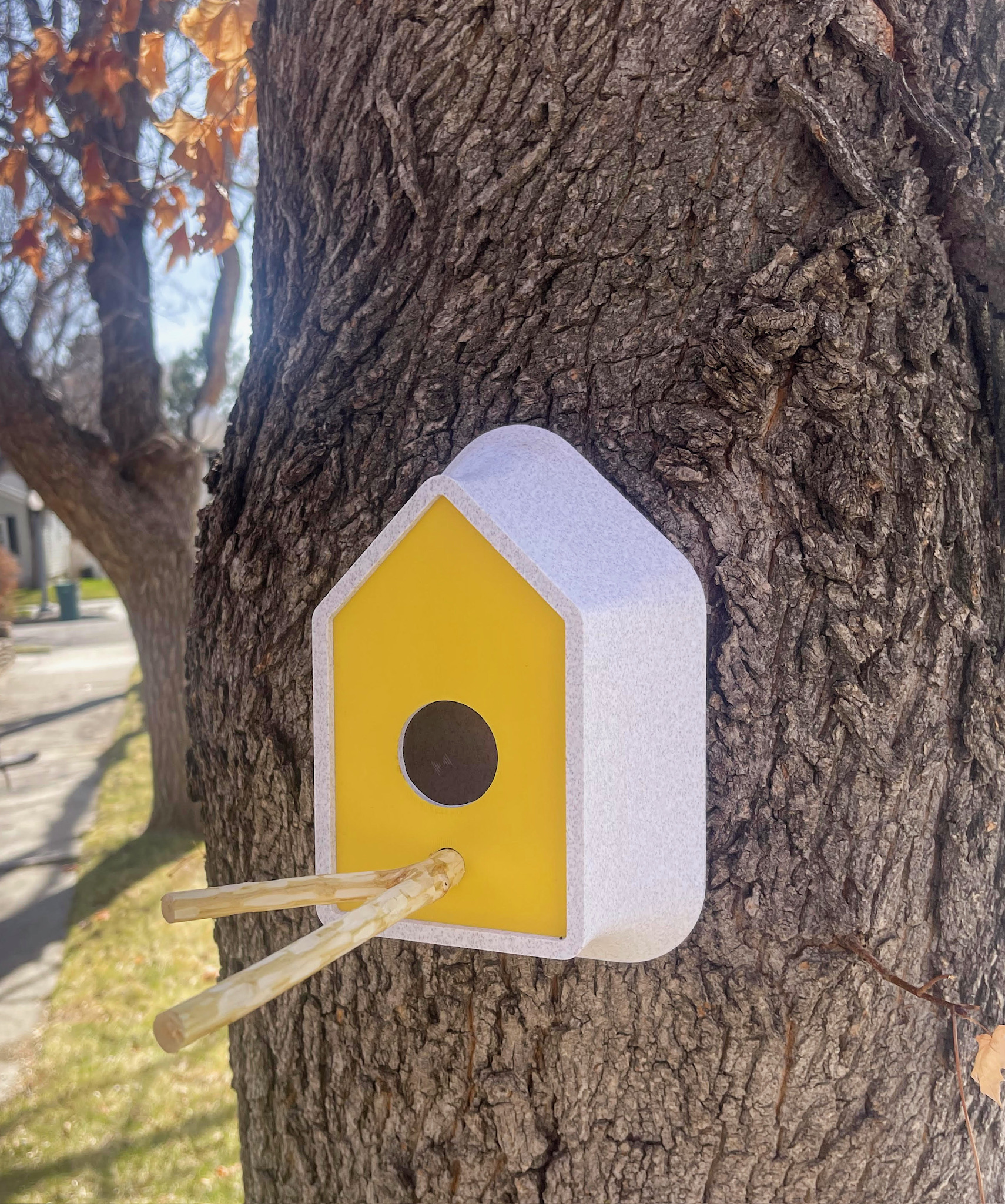 Bird House, Birdhouse by larch | Download free STL model | Printables.com