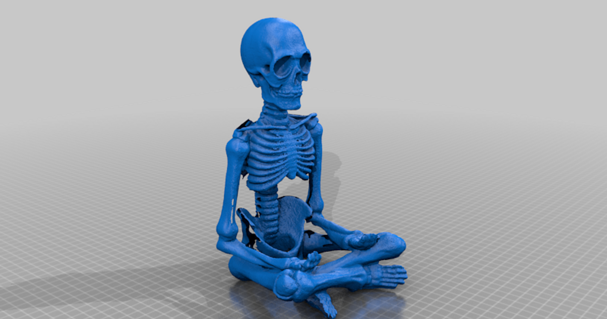 Skeleton Model（generated by Revopoint POP） by PLAprinter | Download ...