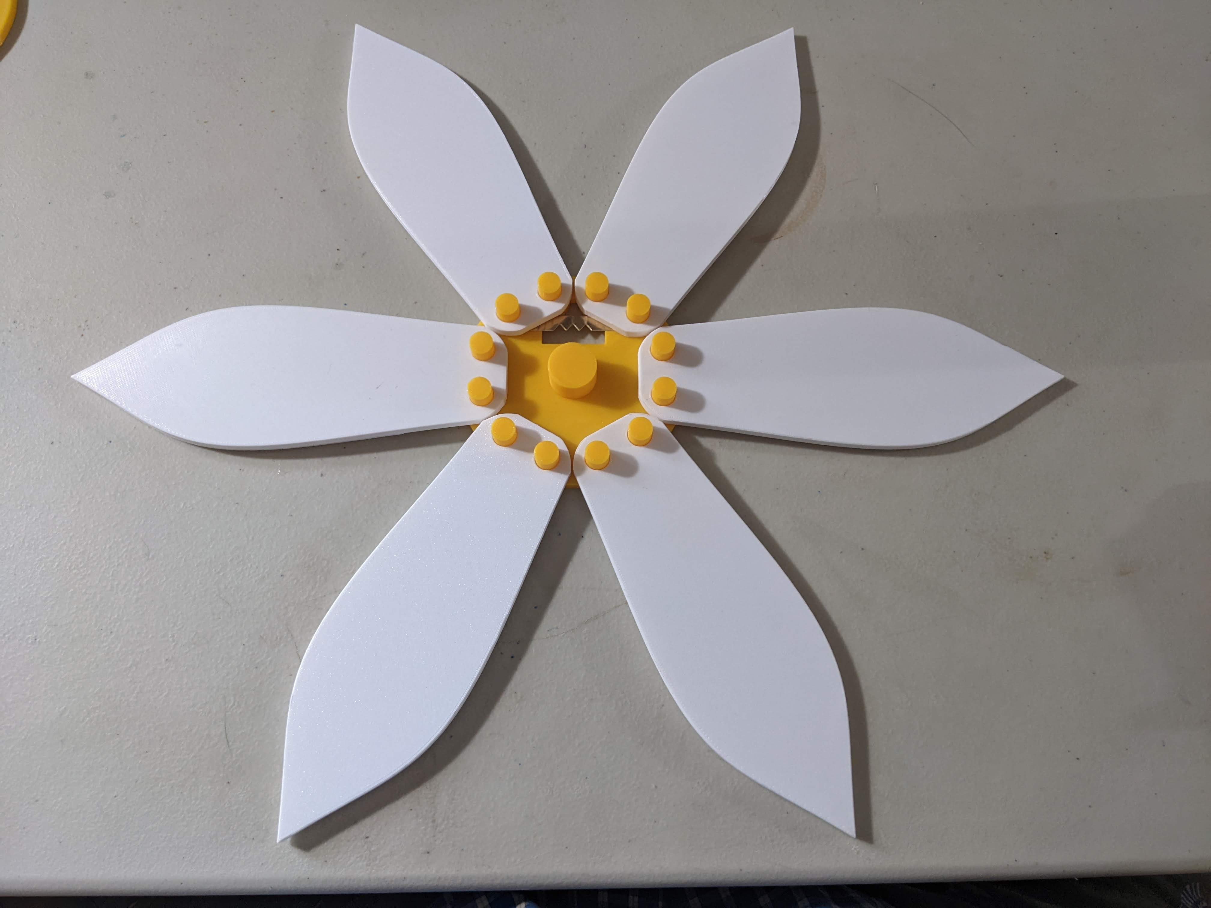 Nova Scotia Flower by David Payne | Download free STL model ...