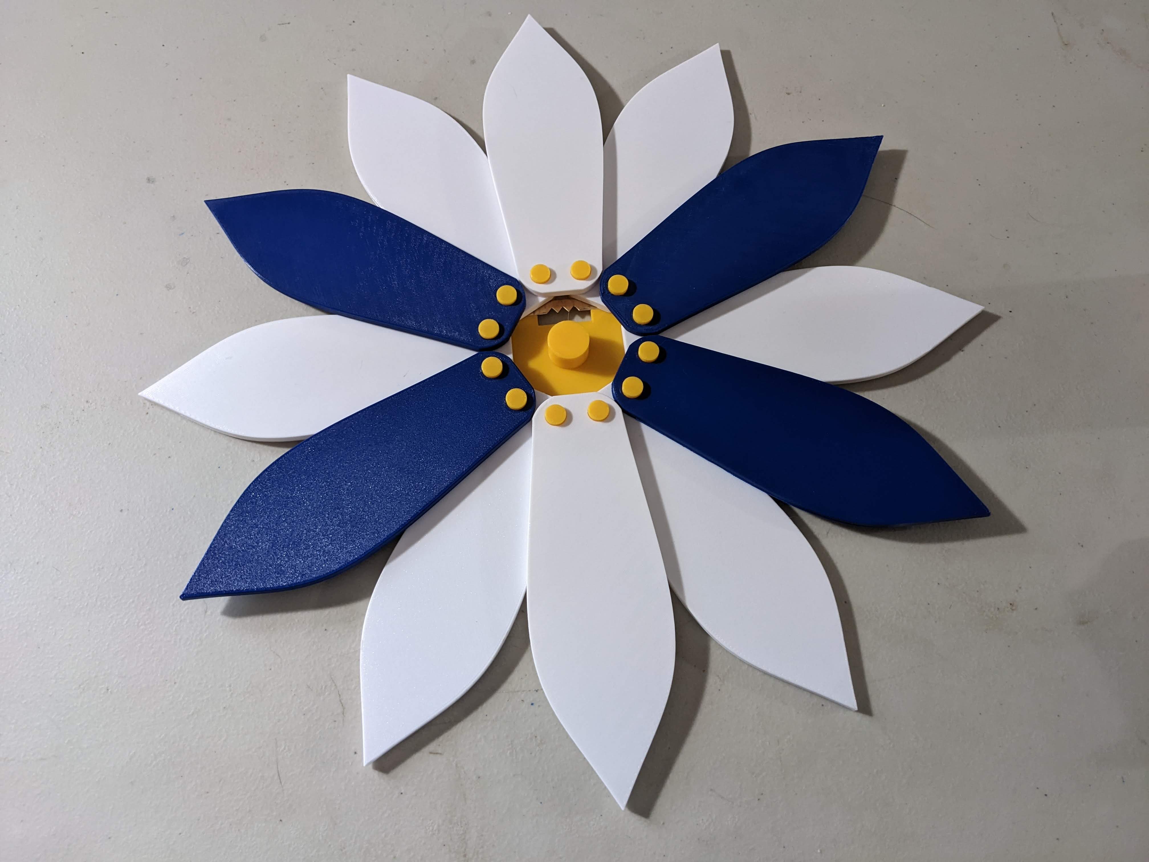 Nova Scotia Flower by David Payne | Download free STL model ...
