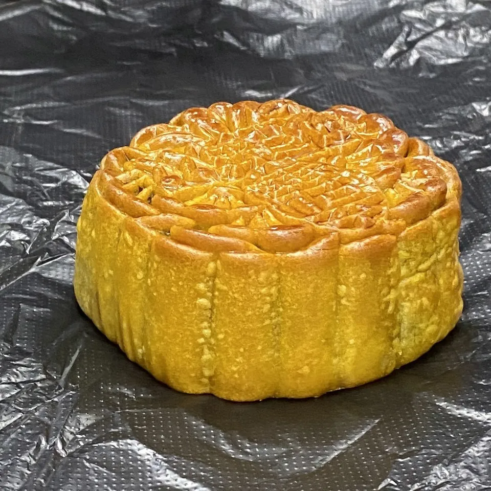 Mooncake（generated by Revopoint POP） by PLAprinter | Download free STL ...