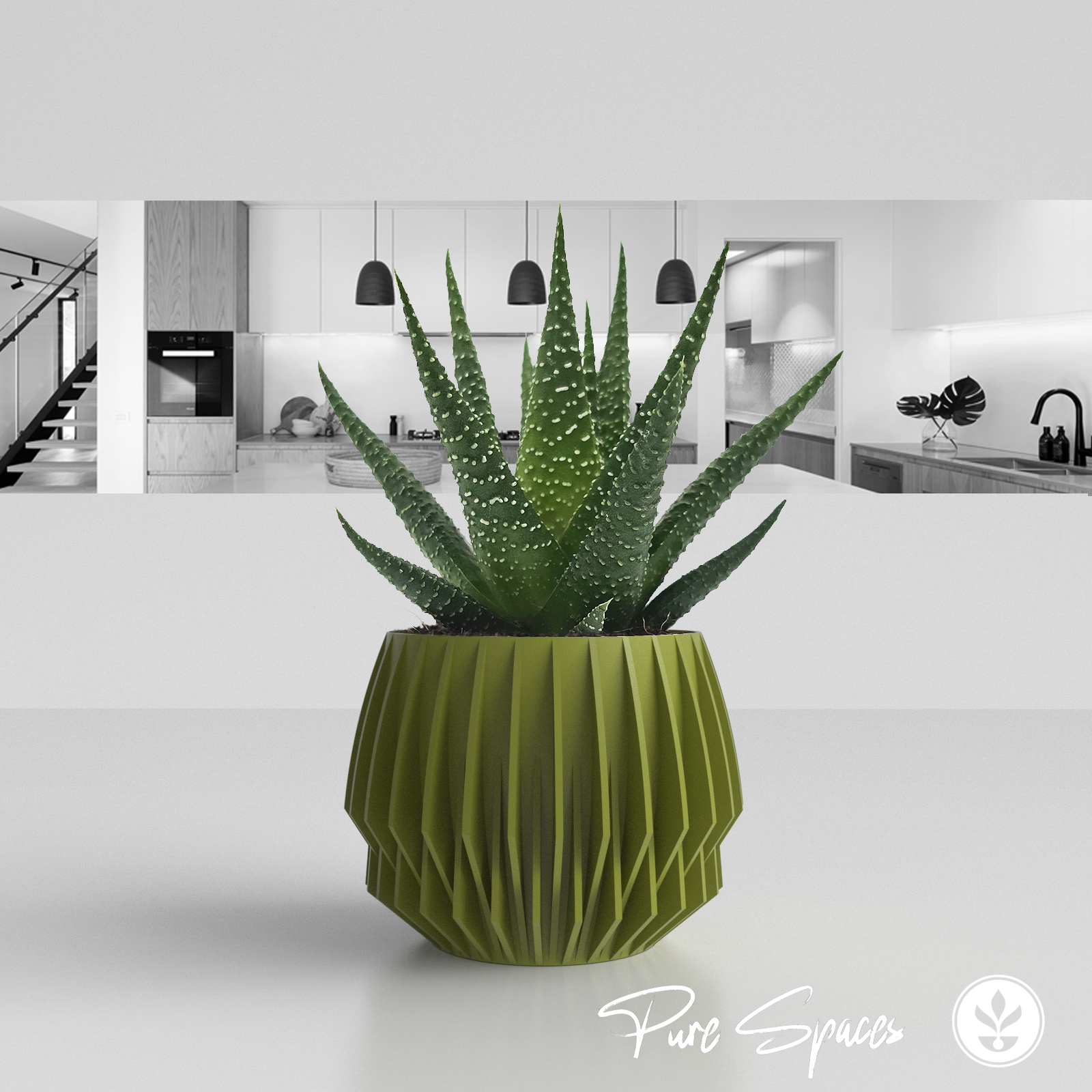 Mini Cactus Planter Collection by Pure Spaces | Printables Store