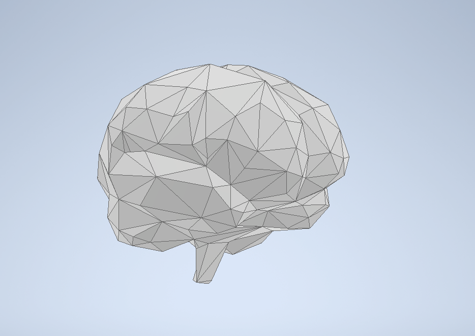 LOW POLY BRAIN by LOBO | Download free STL model | Printables.com