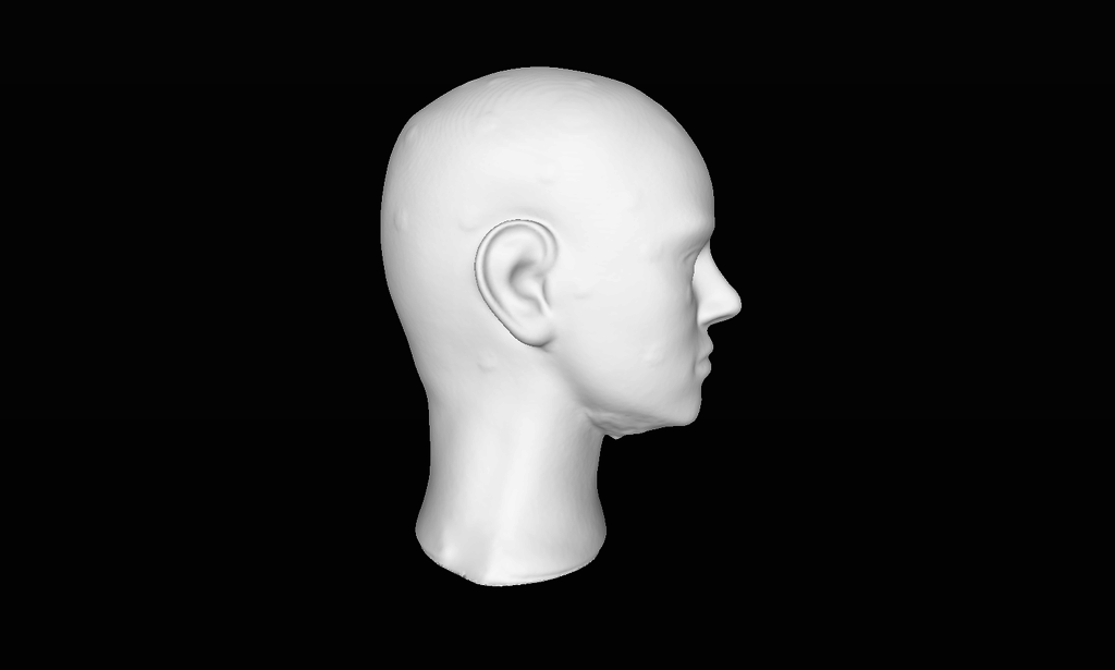 RUBBER HEAD MODEL（GENERATED BY REVOPOINT POP） by PLAprinter | Download ...