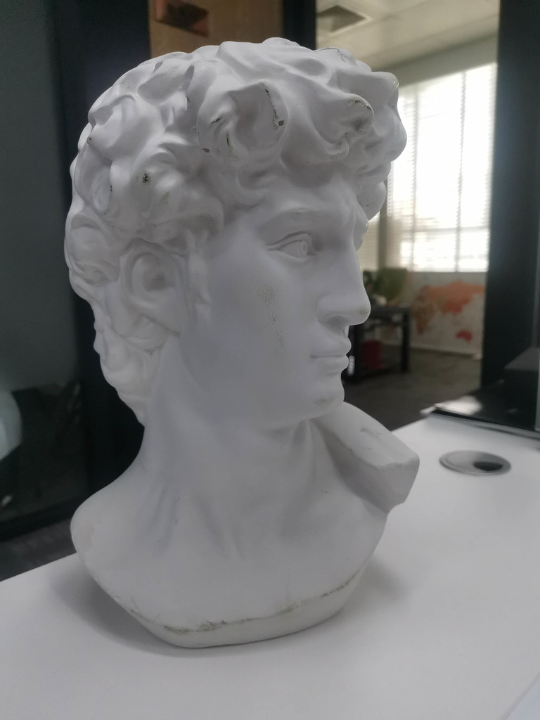 David（scanned by Revopoint POP 3D scanner） by PLAprinter | Download ...