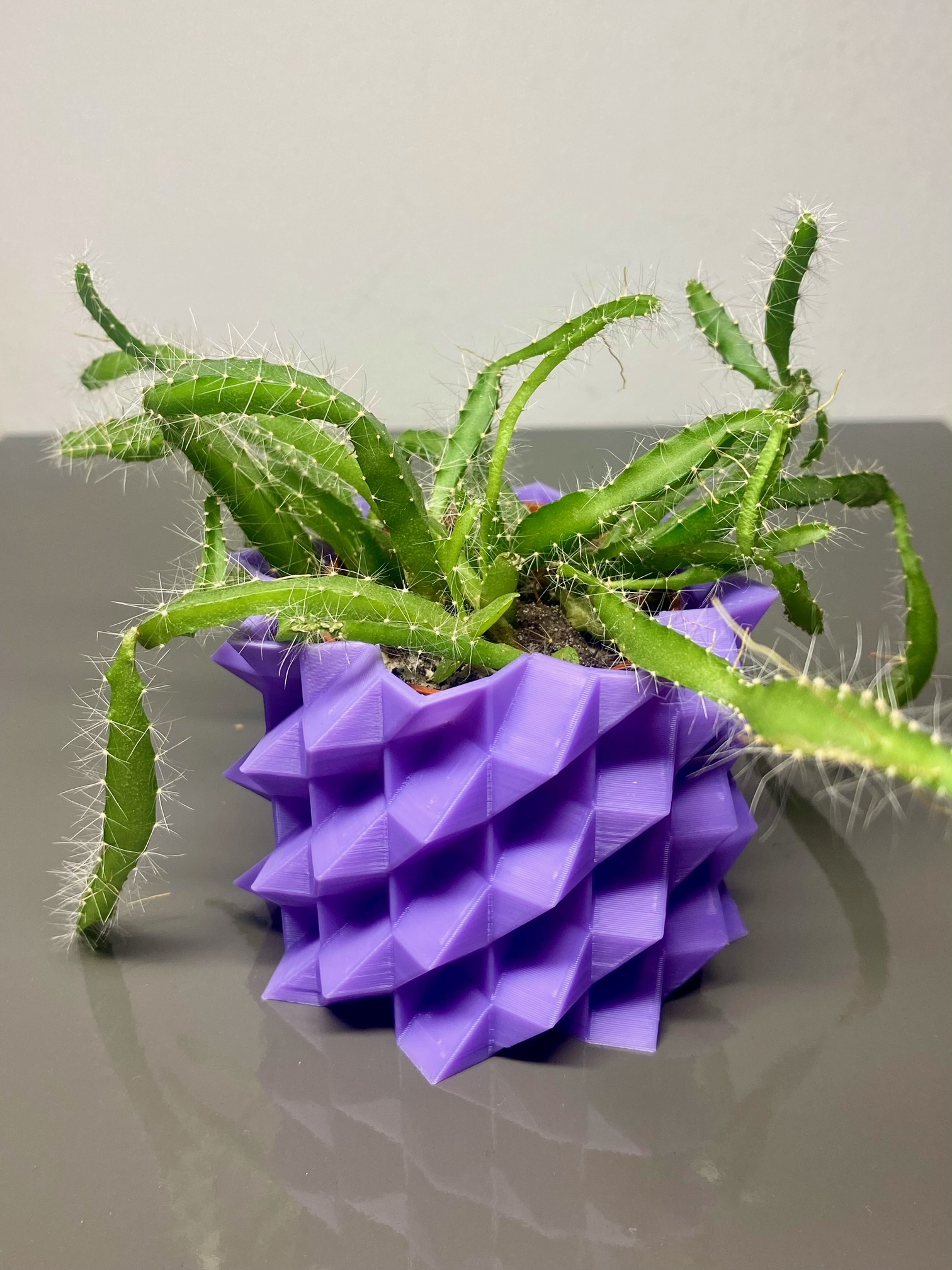 Crystal Planter by Limo | Download free STL model | Printables.com