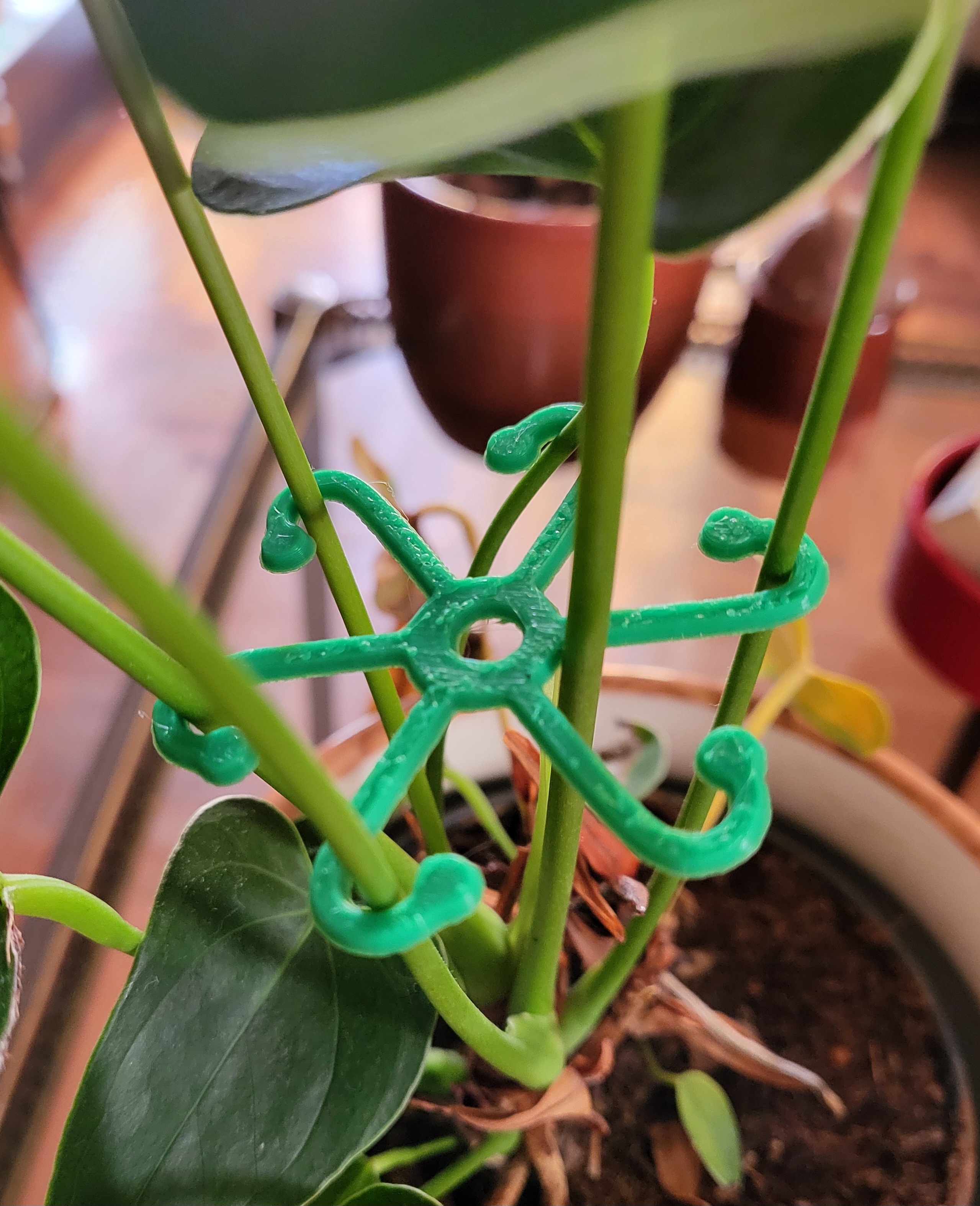 Plant clip hook support by AleX_G | Download free STL model ...
