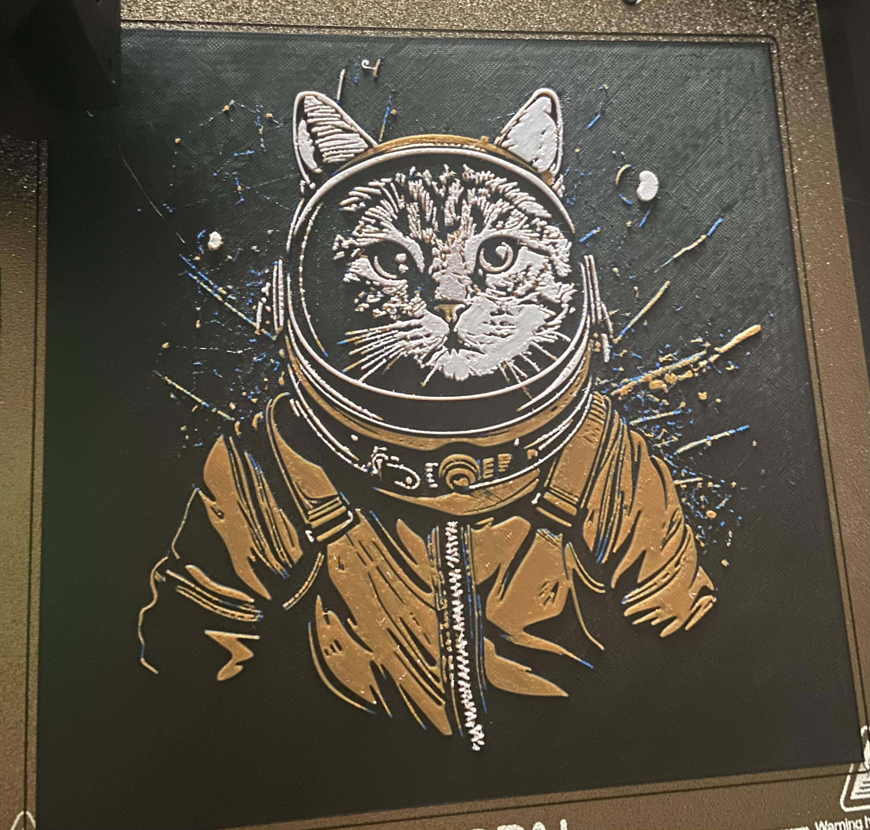 AstroCat - HueForge Painting by E Z | Download free STL model ...