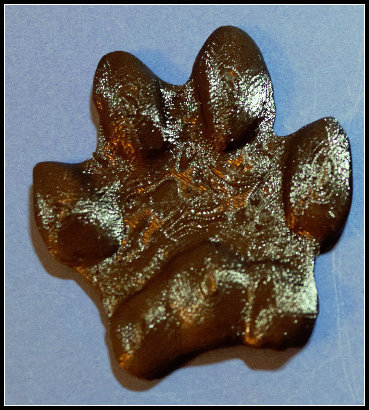 Fox pawpad by Tioh | Download free STL model | Printables.com