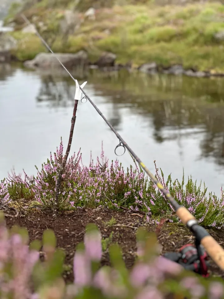 Simple Fishing Rod Holder by Julebrus | Download free STL model ...