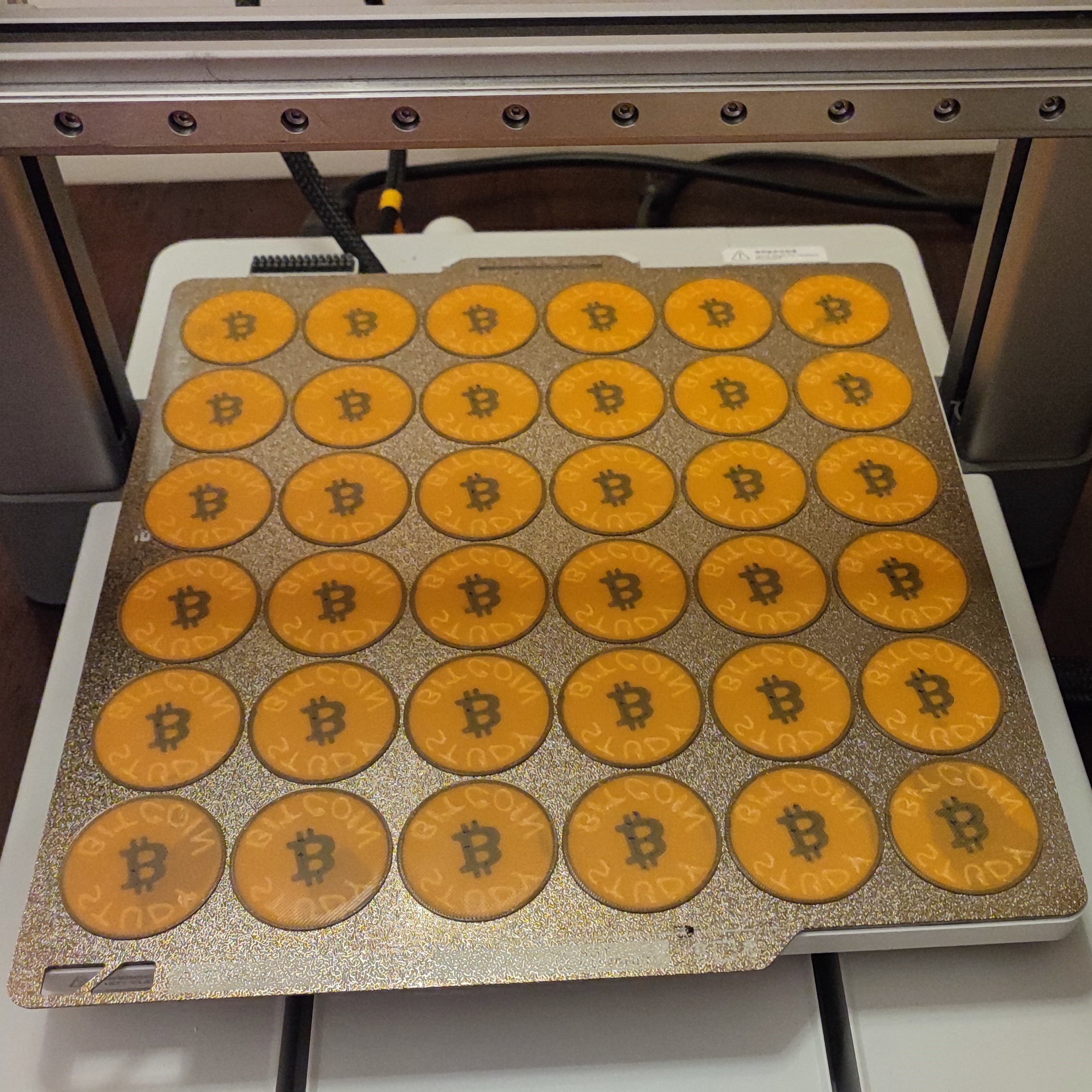 Study Bitcoin by ebisef | Download free STL model | Printables.com