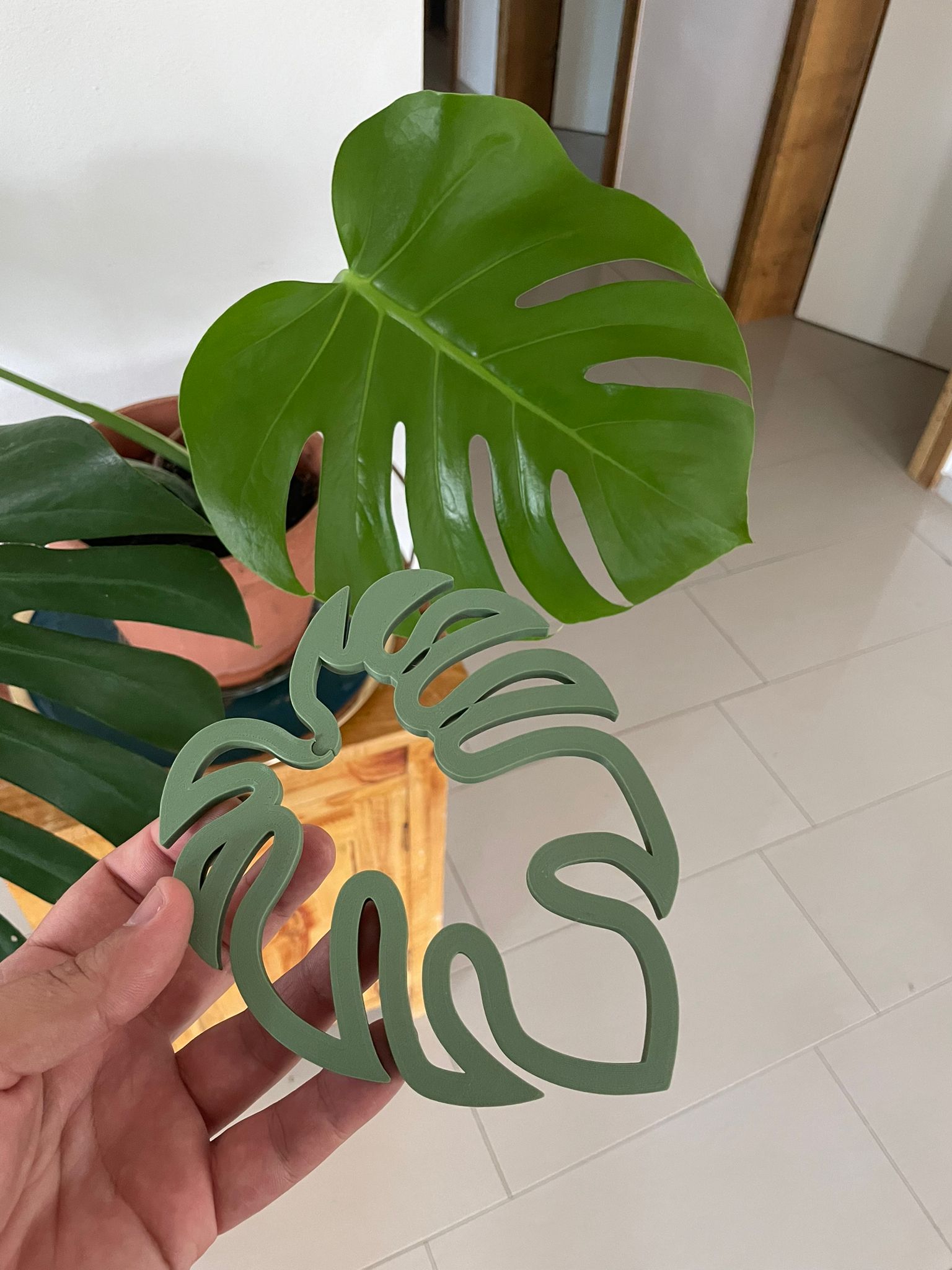 Monstera Plant Clip / Holder by B0L1V3R | Download free STL model ...