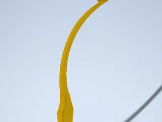 DOG BALL THROWER by LOBO | Download free STL model | Printables.com