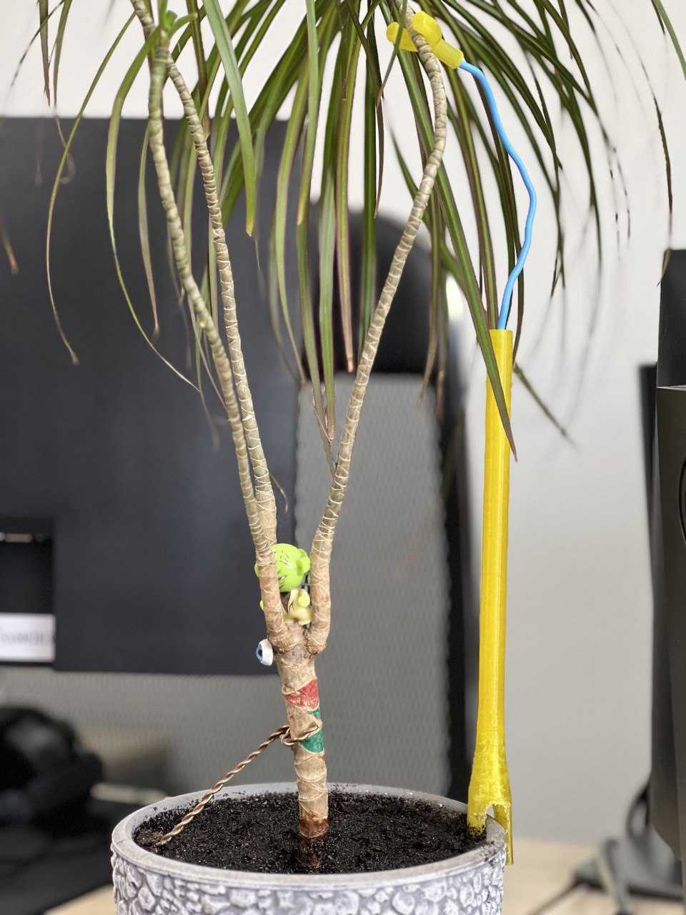 Flower Holder by Dmitriy | Download free STL model | Printables.com