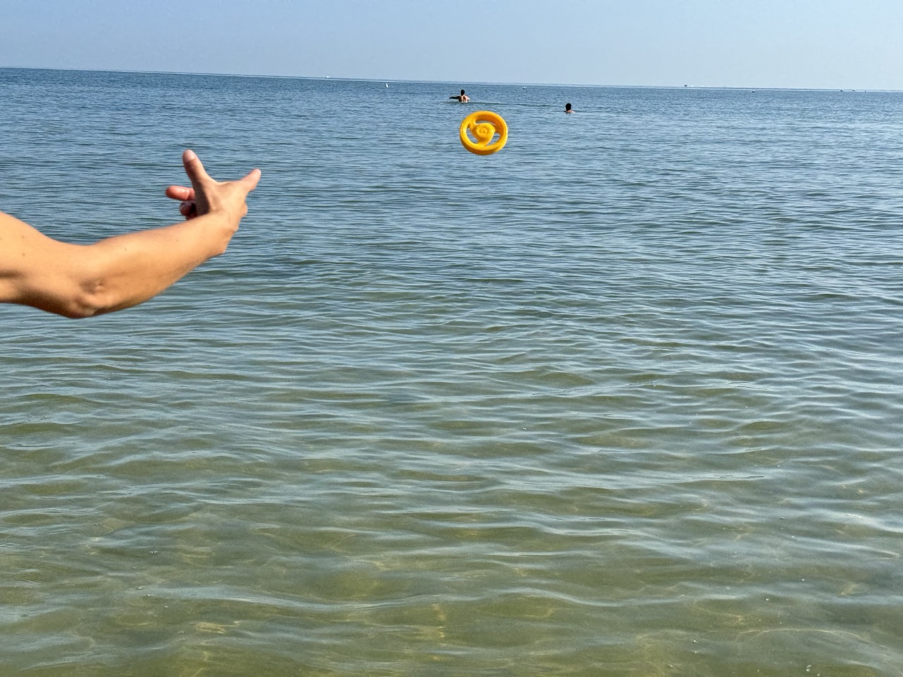 AquaFlyer: The Ultimate Floating Mini Frisbee by 3D KIMBA | Download ...