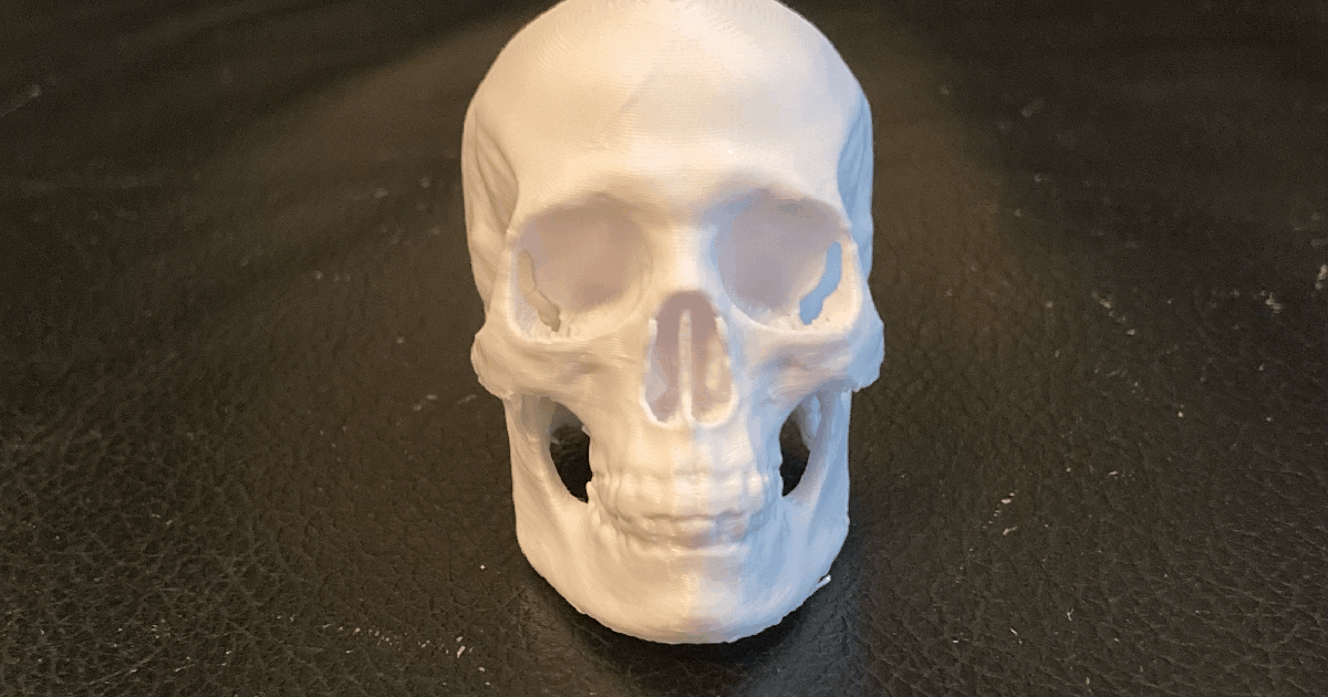 Skull by Alalaias | Download free STL model | Printables.com
