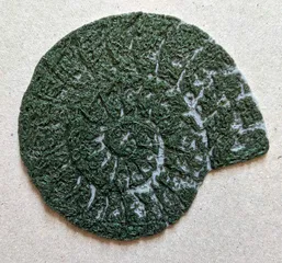 Nautilus Shell Tray by Wilii | Download free STL model | Printables.com