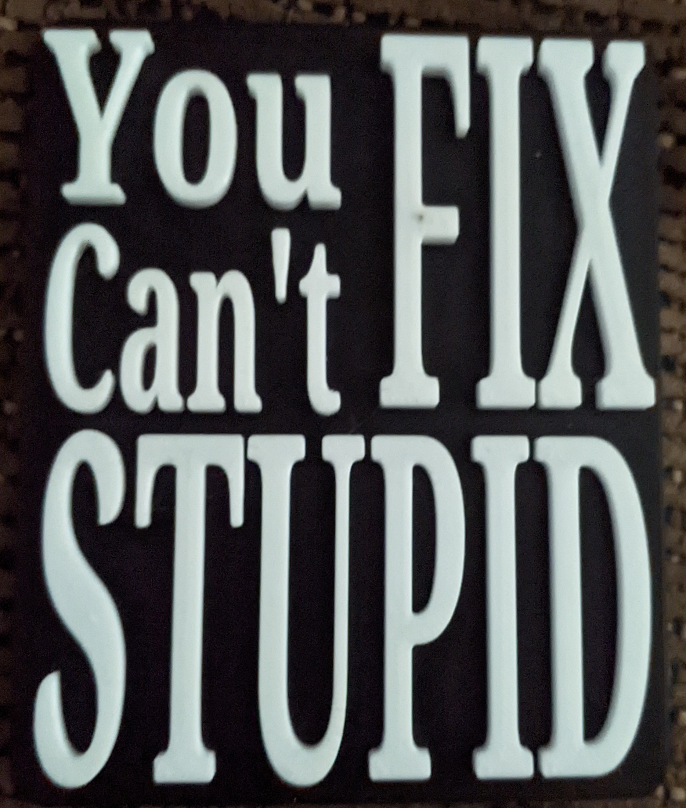 You Can't Fix Stupid by Rdupucks | Download free STL model | Printables.com