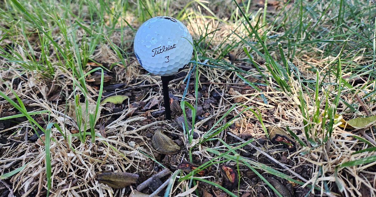 Golf Tee by Braden5790 | Download free STL model | Printables.com
