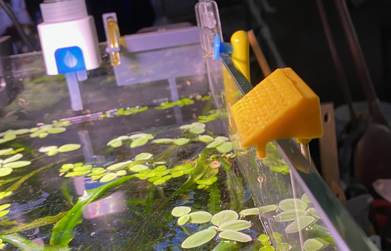 Snail Scraper by PeteJ | Download free STL model | Printables.com