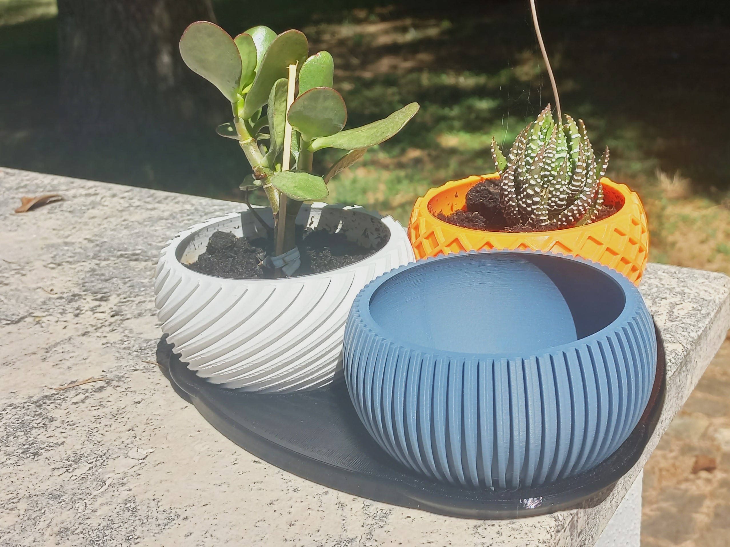Planter pot vase collection - commercial version by A.S. Design ...