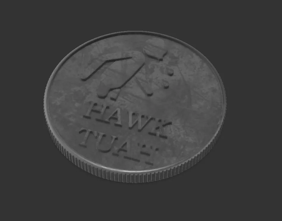 Hawk tuah Coin by 3D Rejsen | Download free STL model | Printables.com