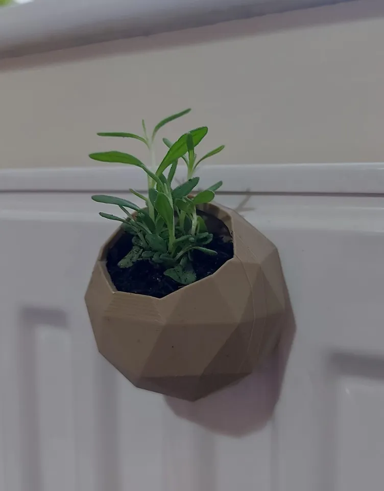 Plant Pot Fridge Magnet by Sora | Download free STL model | Printables.com