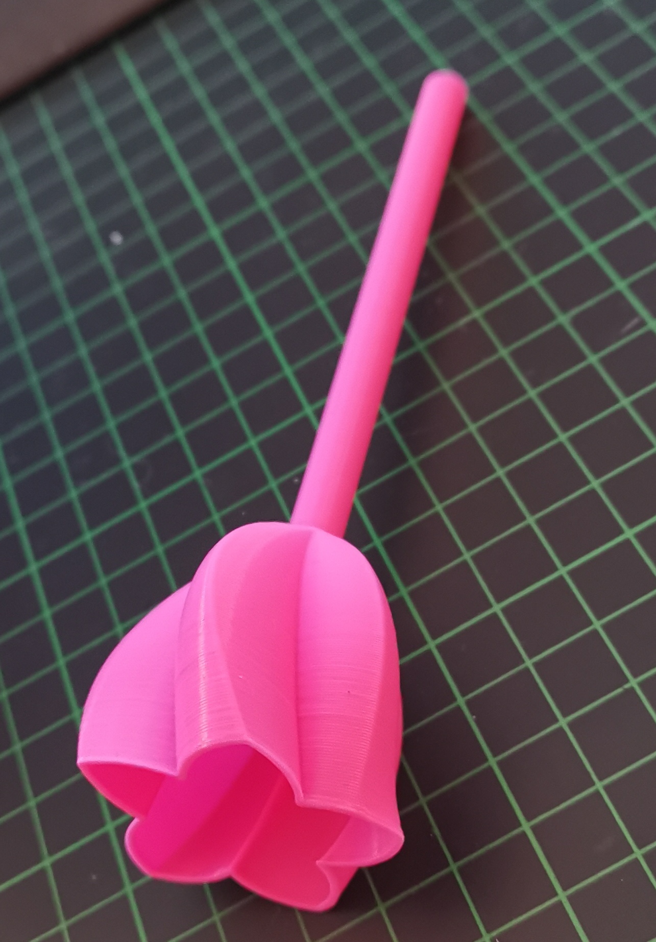 Pouring Aid for plants - Small and Medium by eponra | Download free STL ...