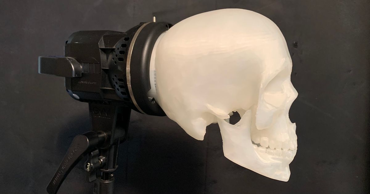 Skull Light Diffuser Bowens Mount by Roart | Download free STL model ...