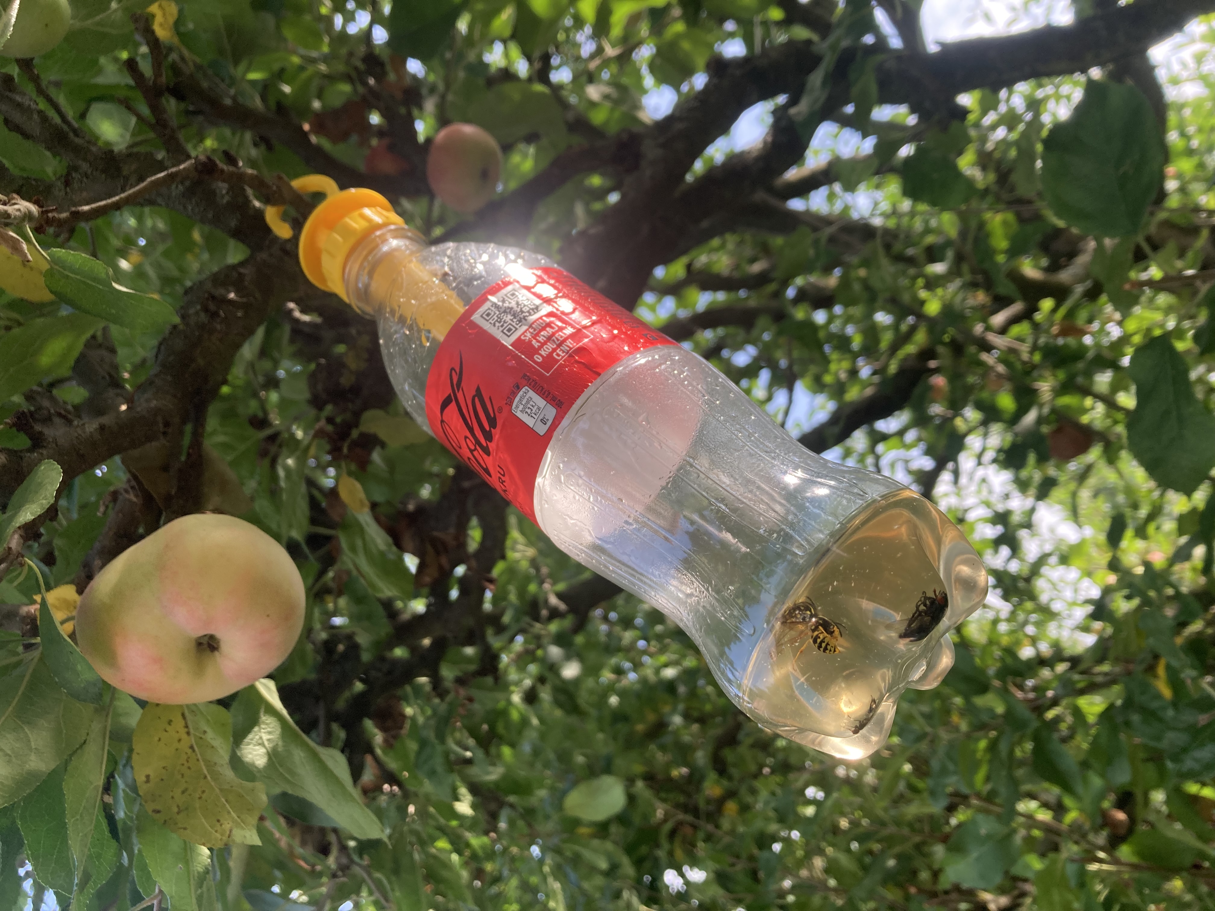Bottle Wasp Trap By Jan Štech Download Free Stl Model