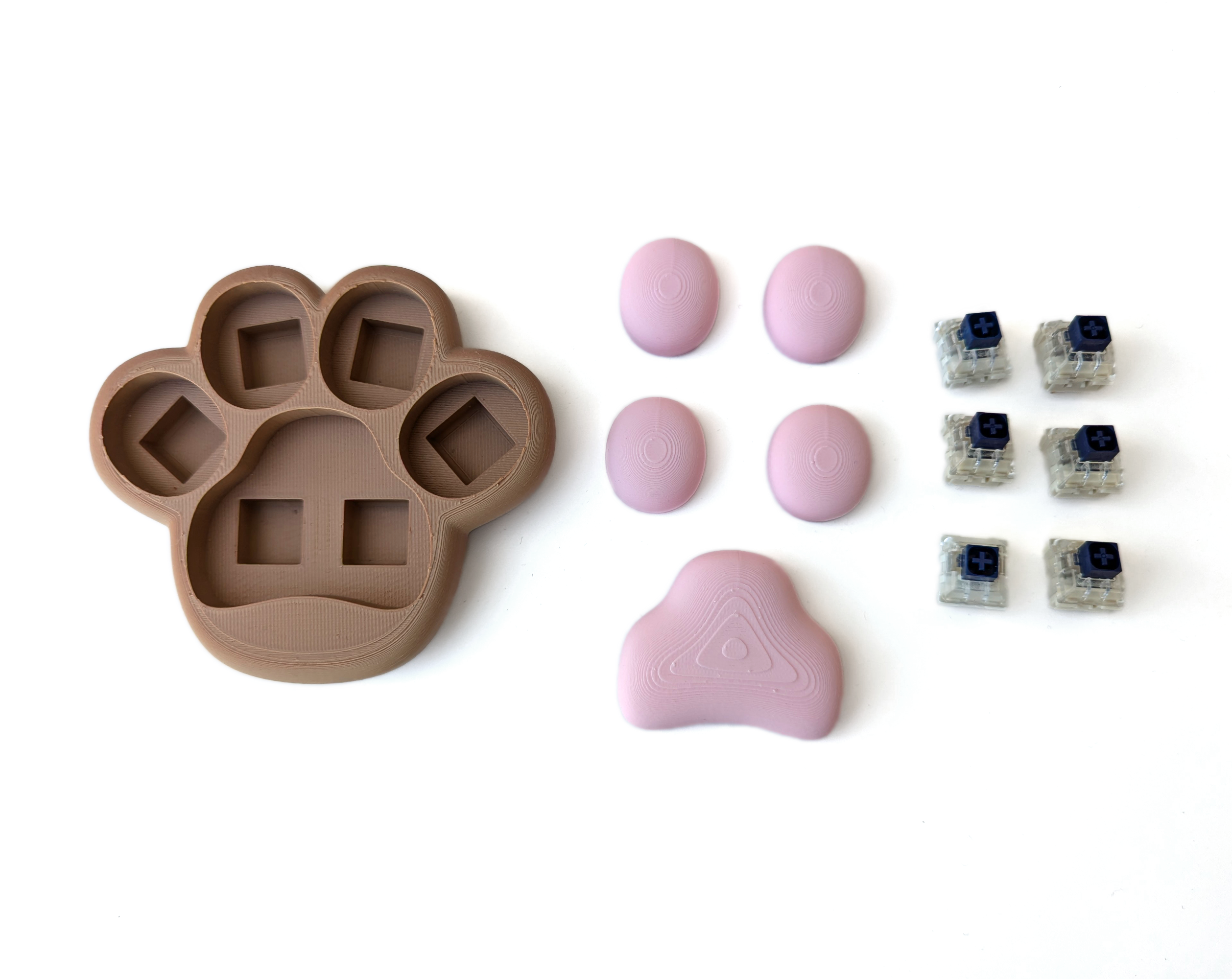 Fidget Paw by MorphNest3D | Download free STL model | Printables.com