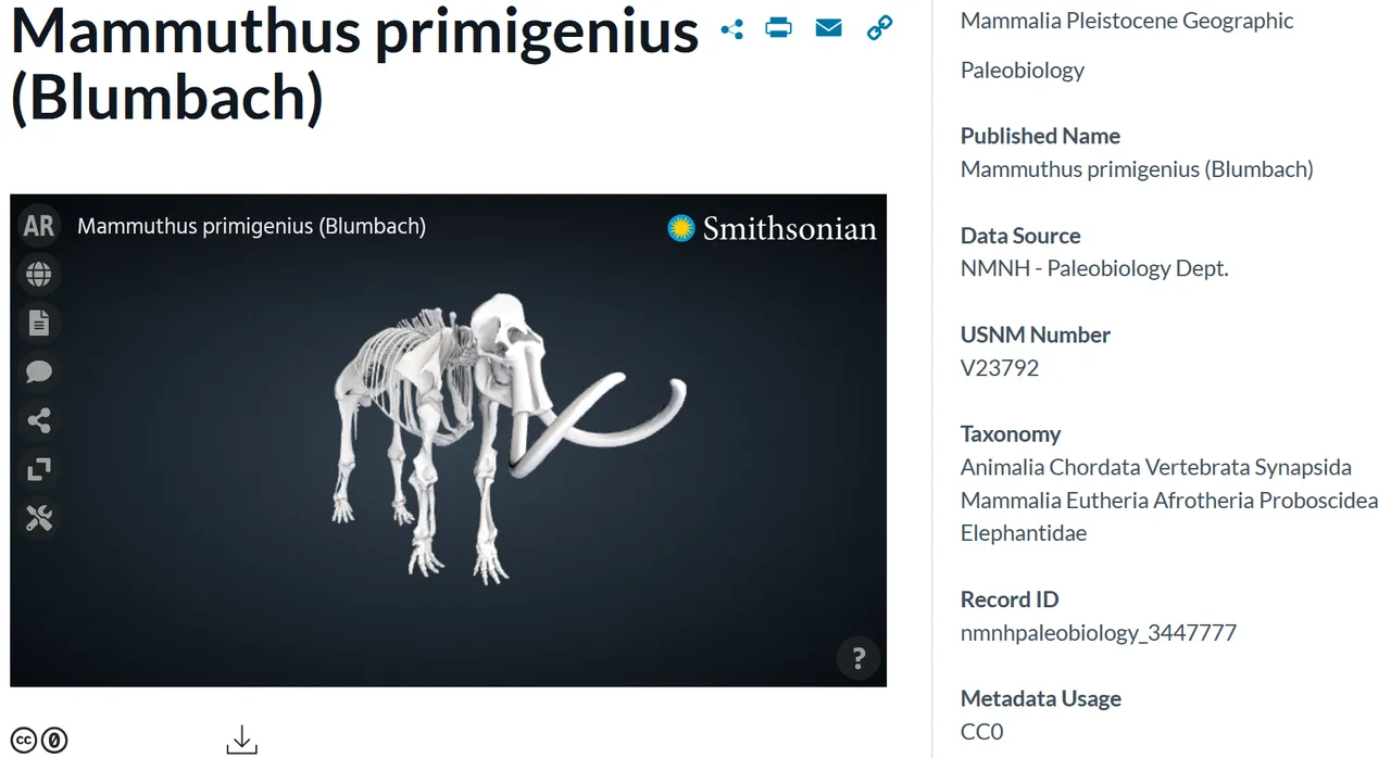 Mammuthus primigenius (Blumbach) by Books | Download free STL model ...