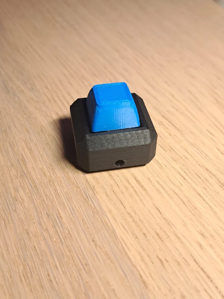 Fidget Clicker Keychain by xik | Download free STL model | Printables.com