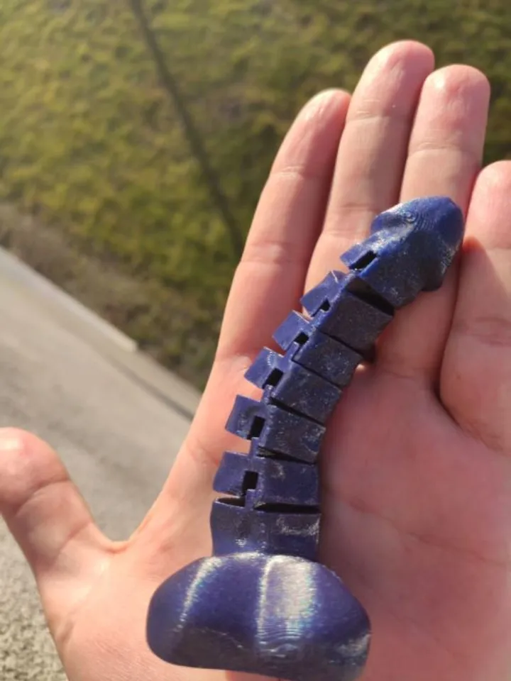 Articulated Dick by Kamil18 | Download free STL model | Printables.com