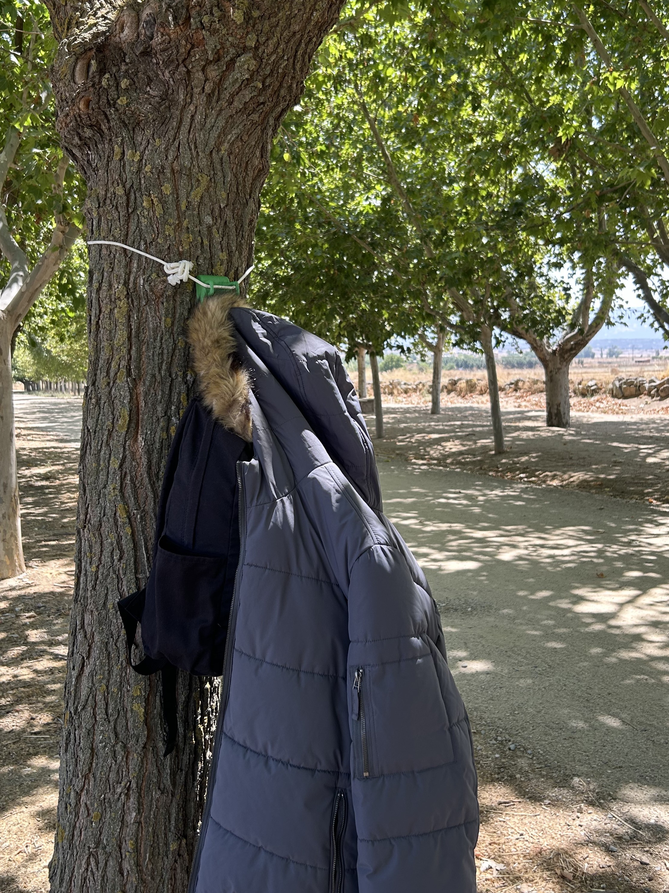 Backpack Hanger for Tree by BrunoRC | Download free STL model ...