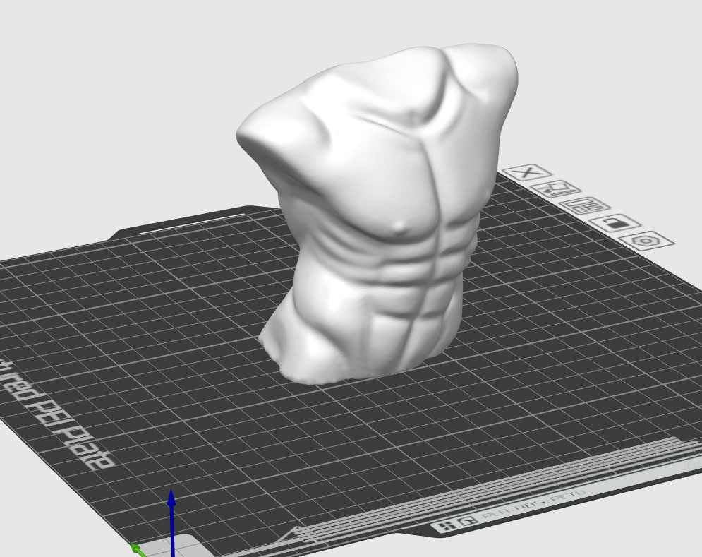 Torso of a Man by lpasqualis | Download free STL model | Printables.com