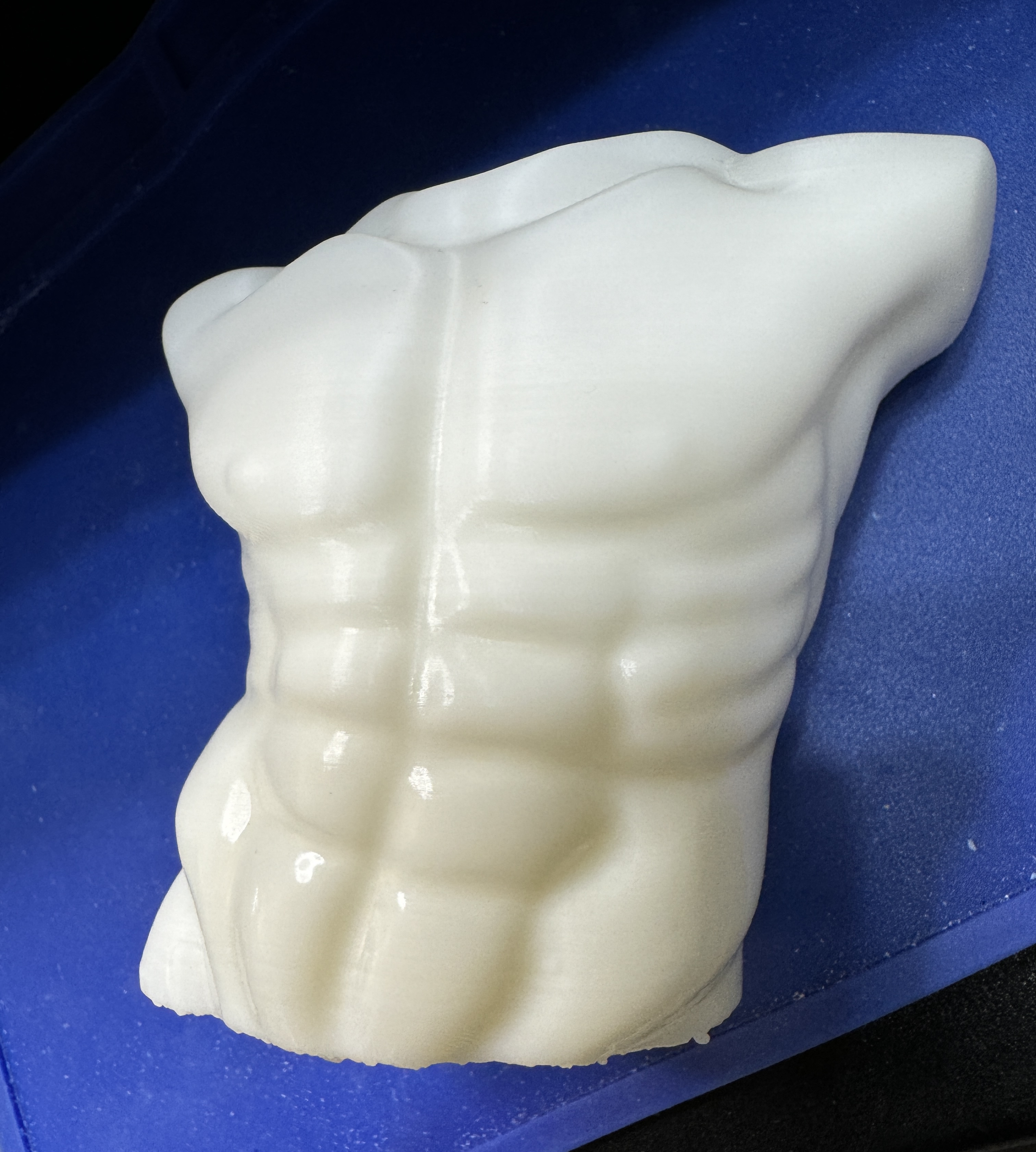 Torso of a Man by lpasqualis | Download free STL model | Printables.com