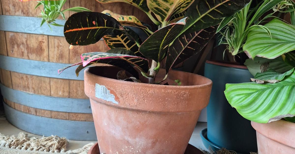 Kaly Keyboard case by Ran Lottem | Download free STL model | Printables.com