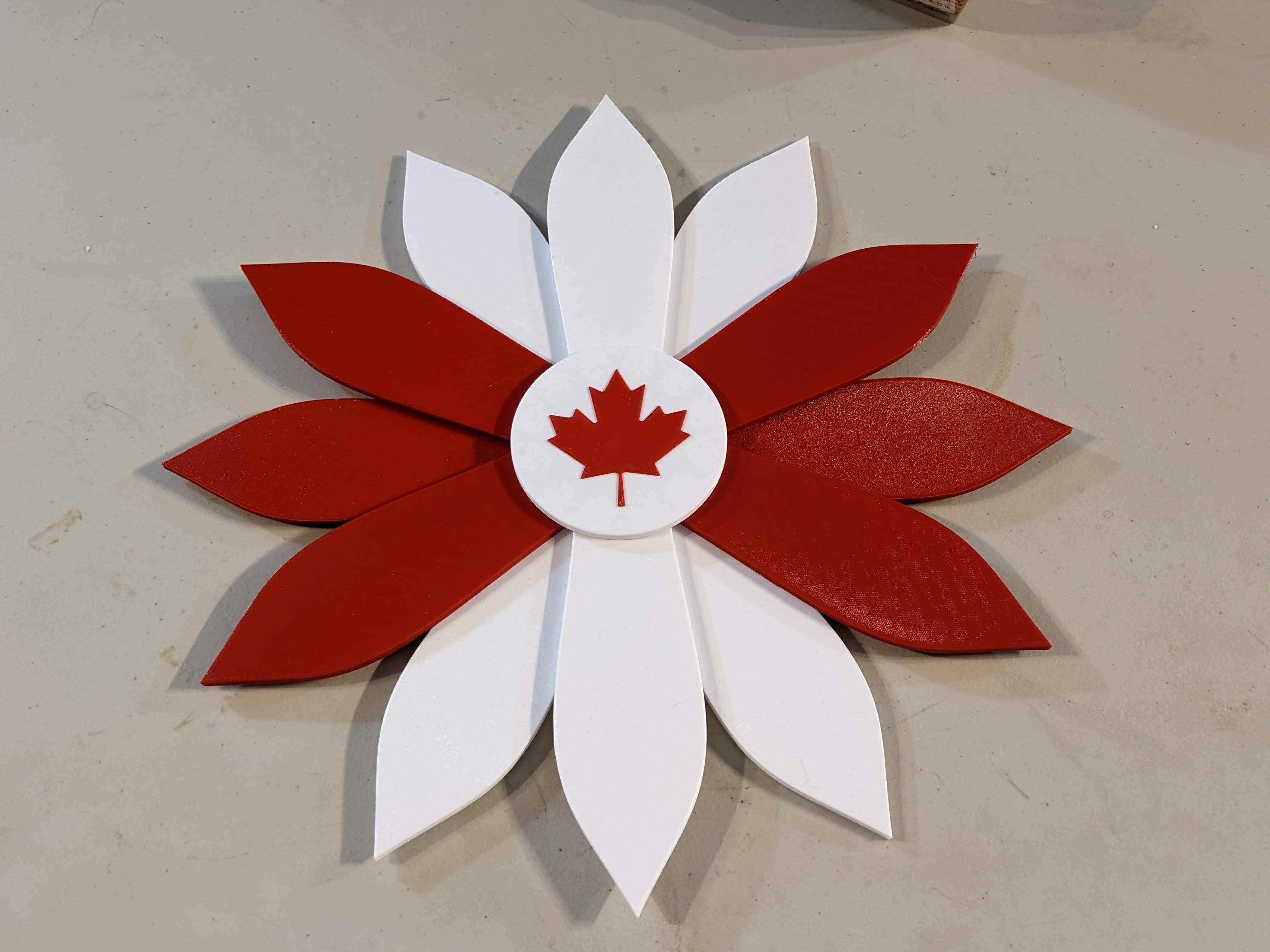 Canada Flower by David Payne | Download free STL model | Printables.com