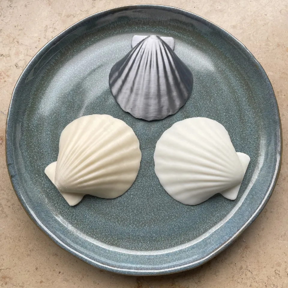 Natural Seashell Model by Blue Hazel | Download free STL model ...