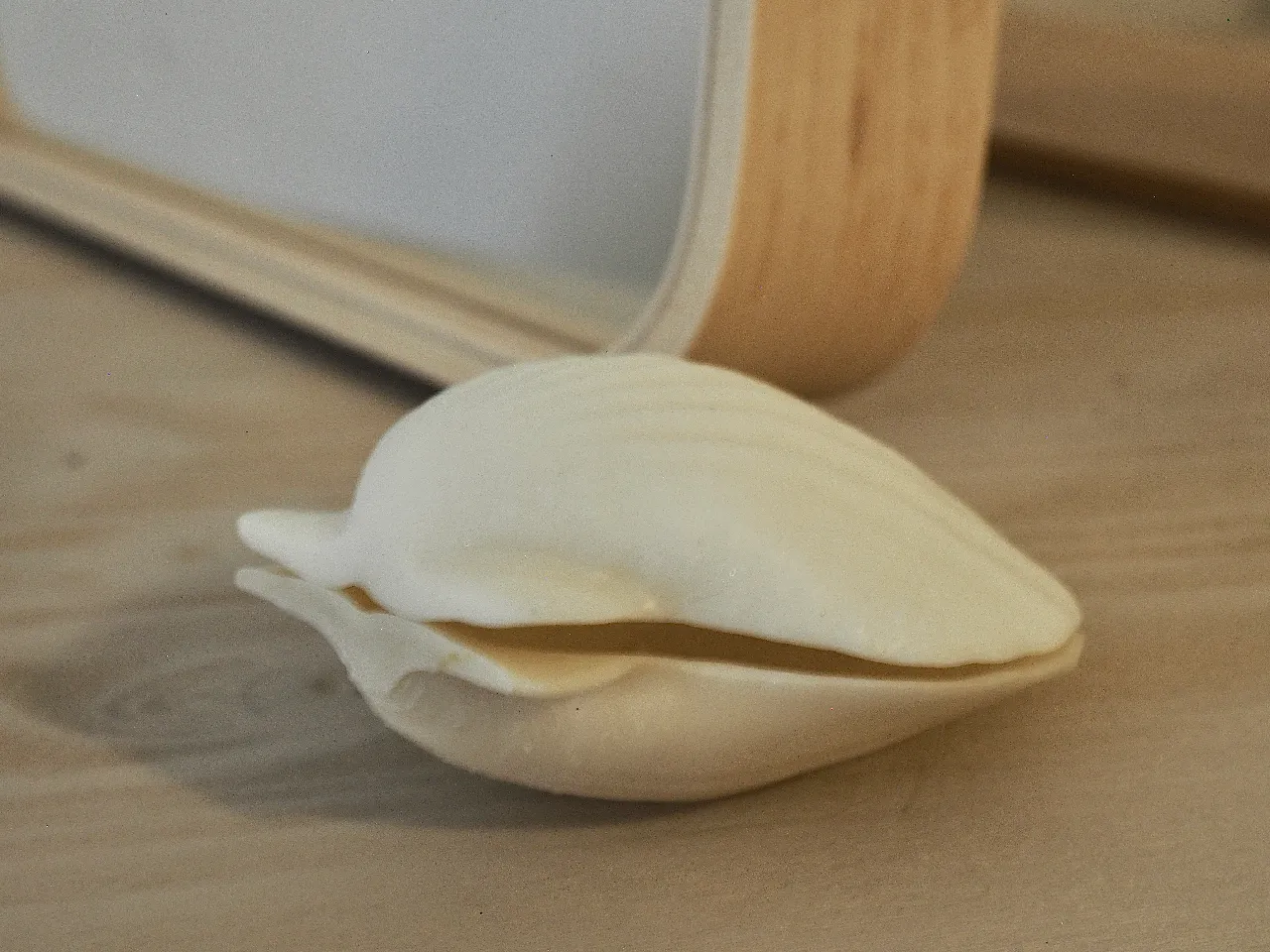 Natural Seashell Model by Blue Hazel | Download free STL model ...